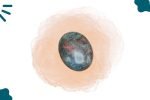 Ruby Kyanite Meaning, Properties, Benefits • The Green Crystal