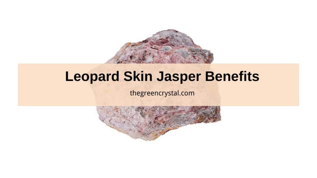 Leopard Skin Jasper Benefits • The Green Crystal