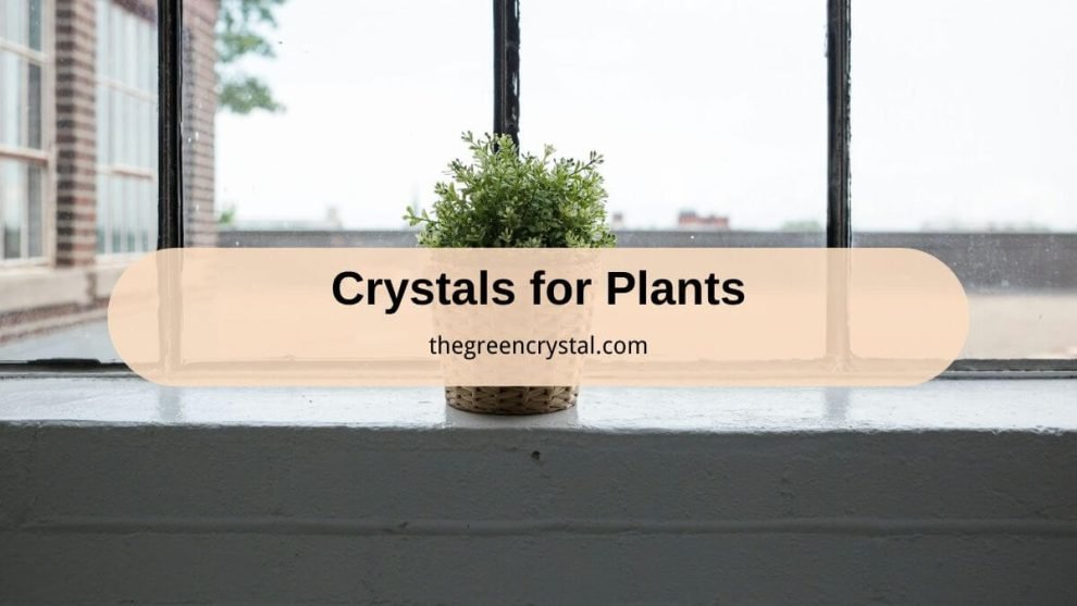 Crystals for Plants • The Green Crystal